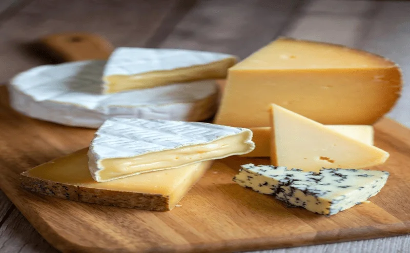 Eating Cheese Could Protect Your Brain, New Study Suggests but Experts ...